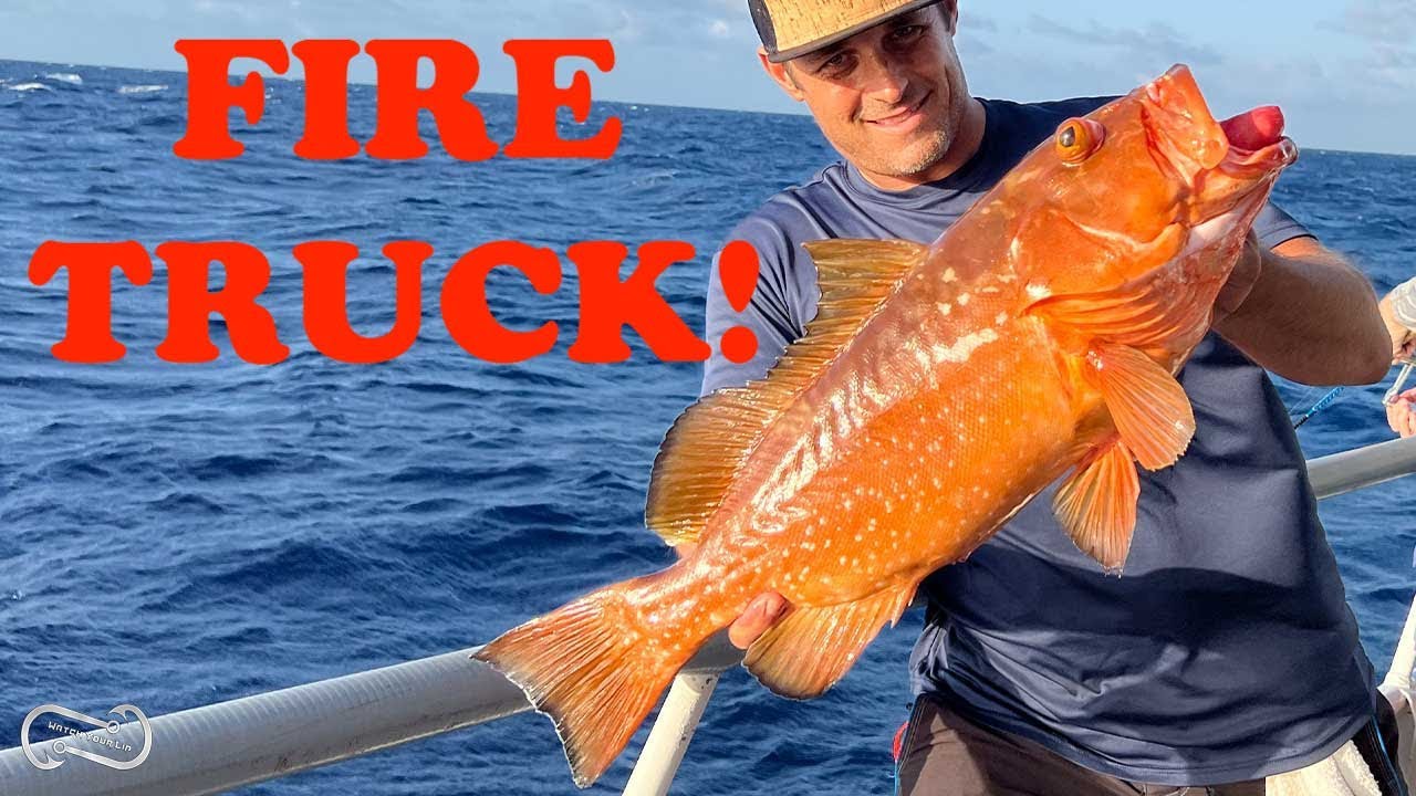 FILETING A "FIRETRUCK" RED GROUPER - SOME FUN AND A LITTLE GROUPER ...