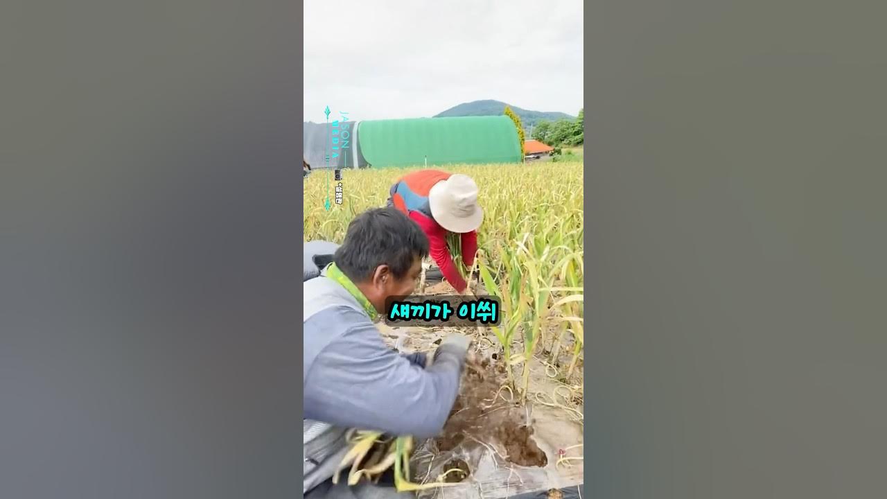 한국에서 일하는 외국인 노동자들의 서러움 Youtube