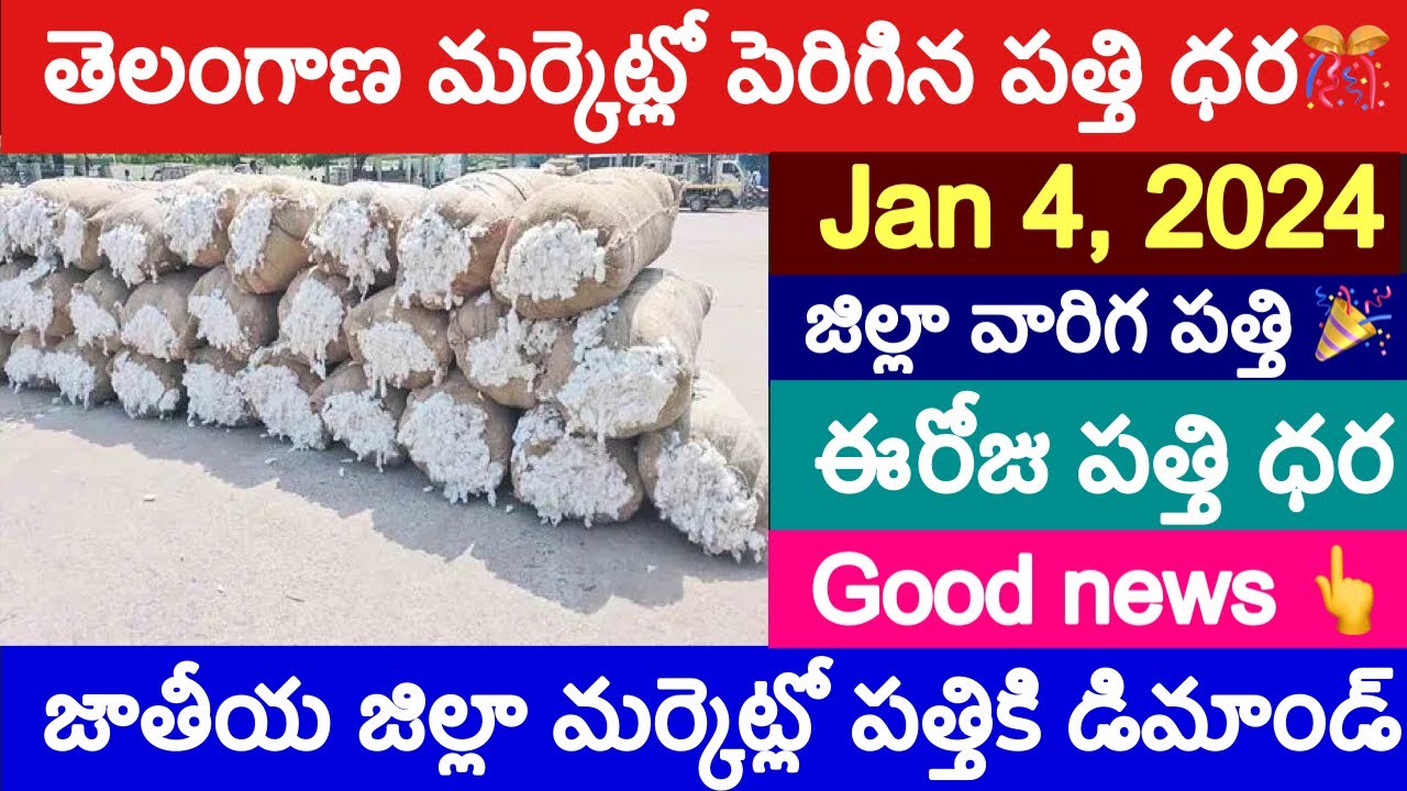 4-1-2024 today cotton price-today cotton rate-cotton price today-cotton ...