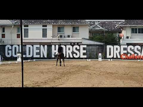 Tonaor & G.5 : The 1st Golden Horse International Dressage Challenge 2023
