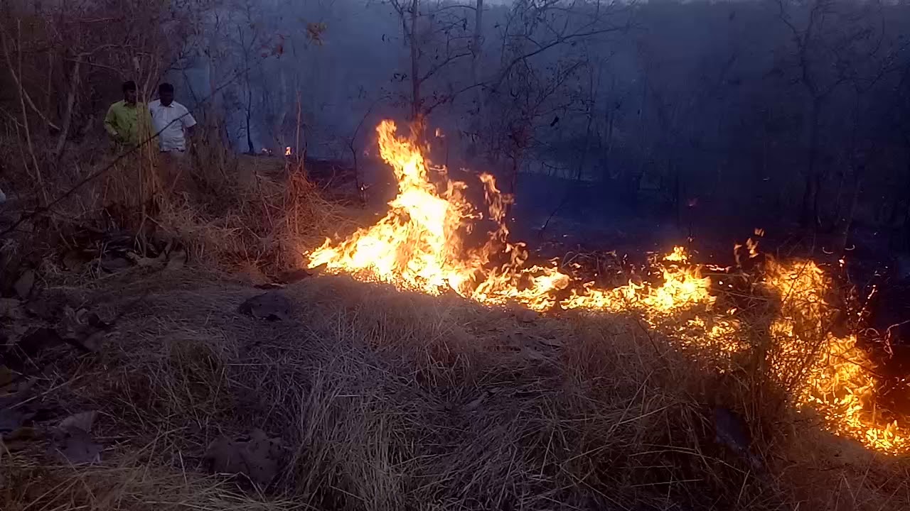 Effective use of fire blower machine to extinguish fire in forest - YouTube