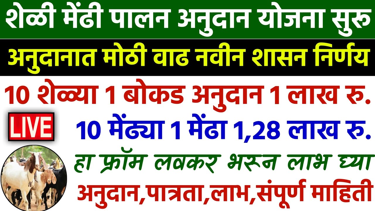 शेळी मेंढी पालन योजना 2021 | Sheli mendhi palan yojana | sheli palan yojana 2021 | शेळी पालन ...