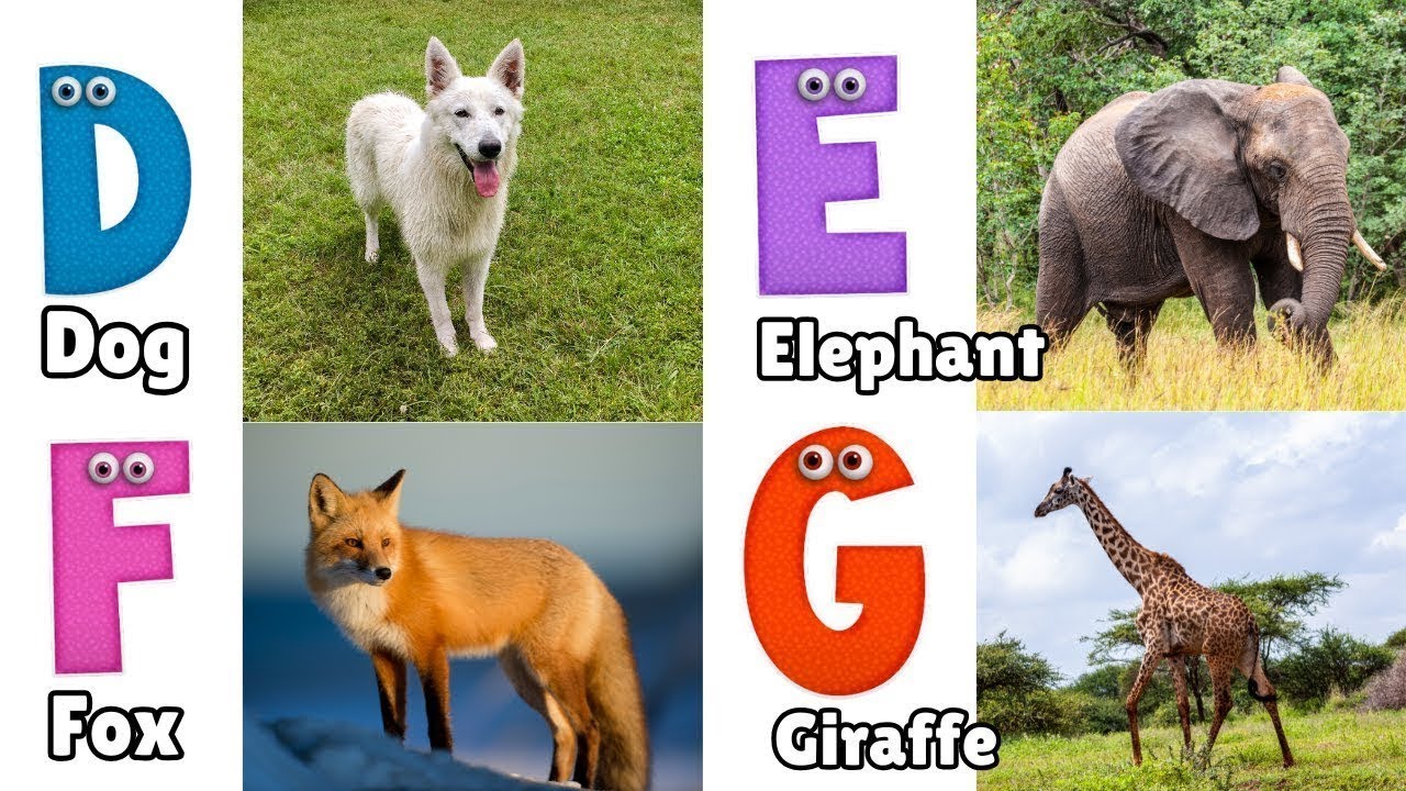 Animals ABC Song for Kids | Phonics for Kids | Alphabet Letters | Learn ...
