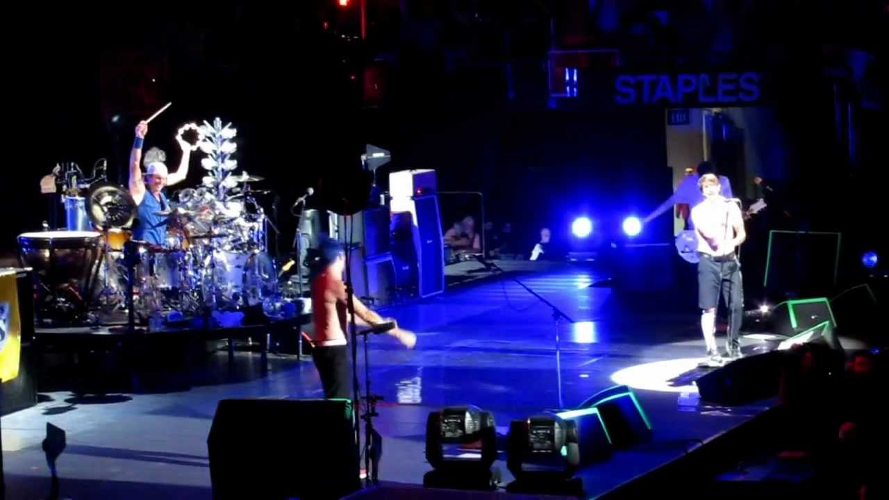 Flea's Dance - YouTube