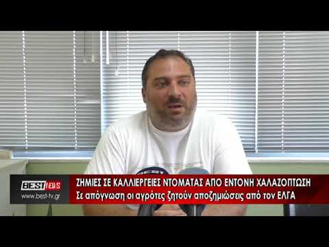 ΑΡΚΑΔΙΑ ΖΗΜΙΕΣ ΣΕ ΚΑΛΛΙΕΡΓΕΙΕΣ ΝΤΟΜΑΤΑΣ ΑΠΟ ΧΑΛΑΖΟΠΤΩΣΗ - YouTube