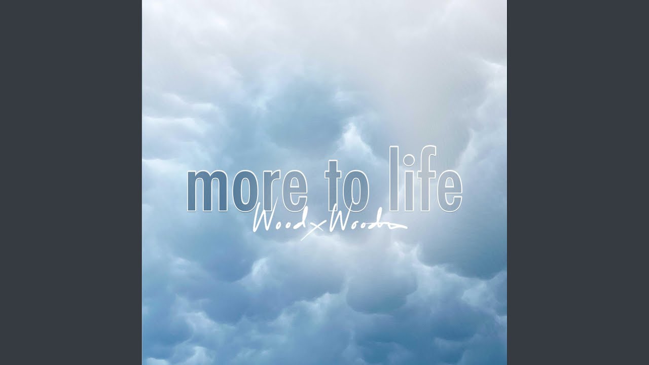 more to life (Brahmananda Swarupa) - YouTube