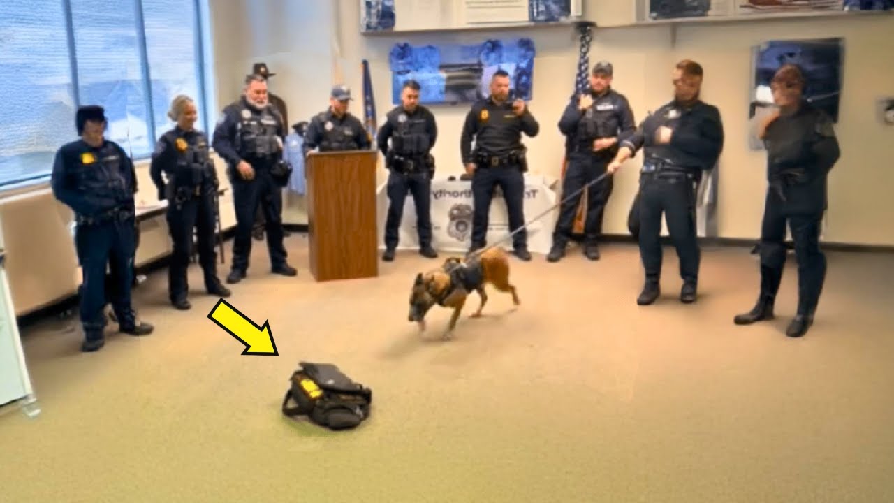Retiring K9 Officer Receives Special Surprise After His Final Duty ...