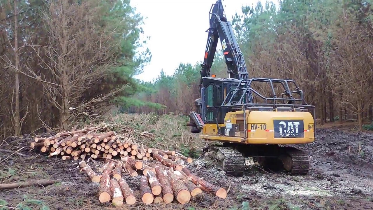 Harvester Caterpillar 320D FM com Log Max E6 - YouTube