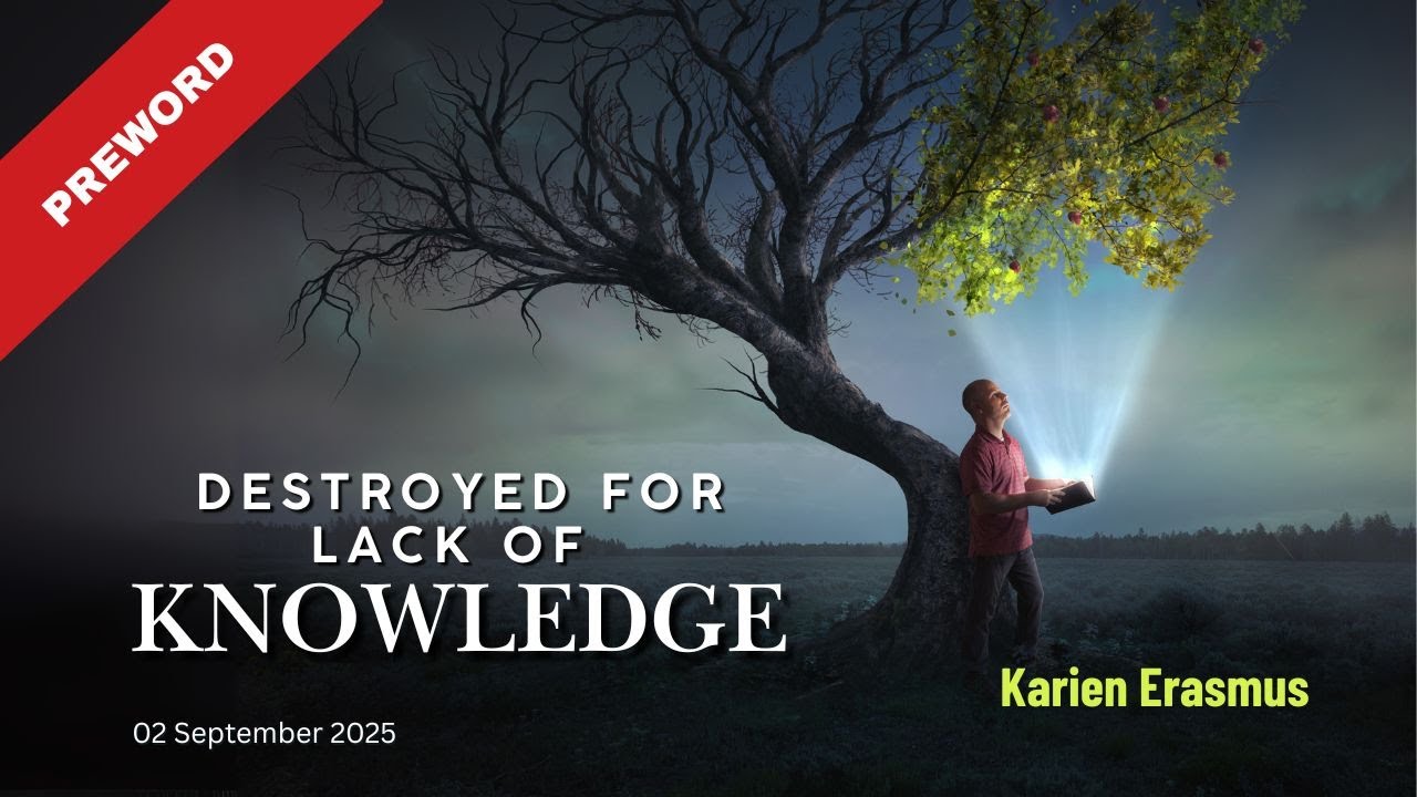 The Power of God’s Knowledge: Living in His Grace, Peace & Authority ...