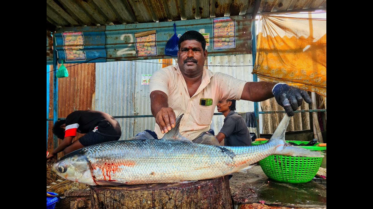 HEAVY THULLU KENDAI FISH CUTTING 🔥 MINNAL RAJA KASIMEDU FISH MARKET # ...