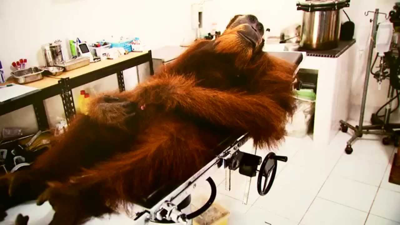 World Press Photo and Michael Peto exhibitions open to the public - YouTube