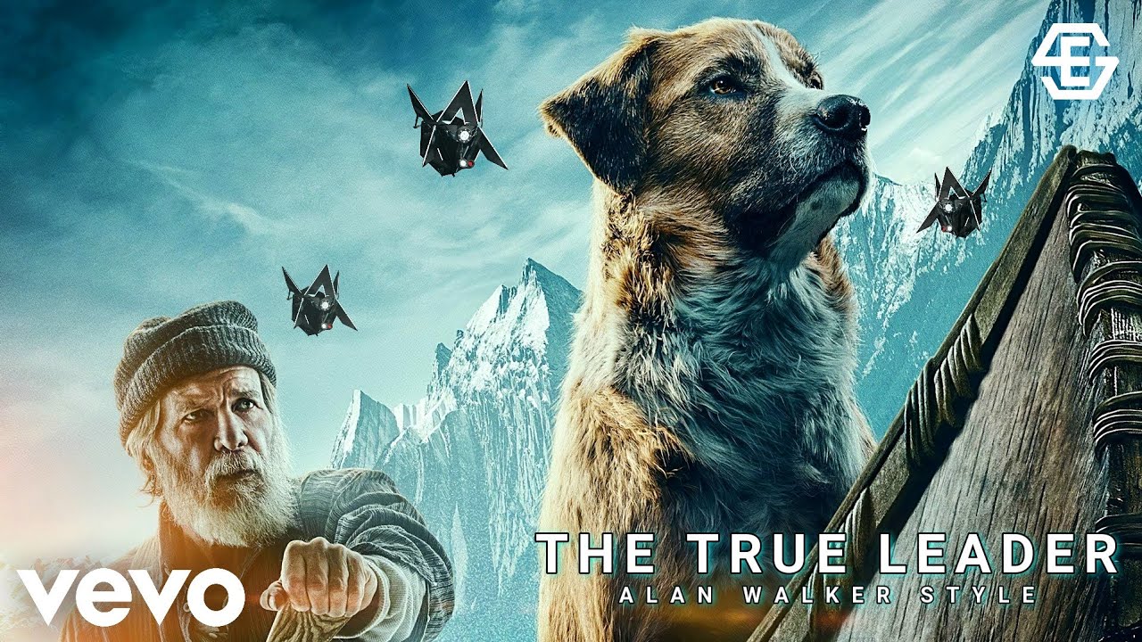 Alan Walker Style - The True Leader 2024 - YouTube
