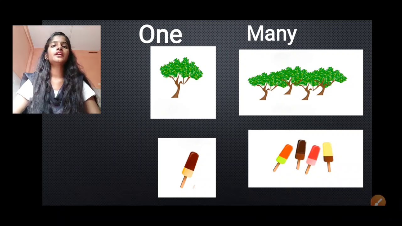 6th standard singular and plural (Marathi medium) - YouTube