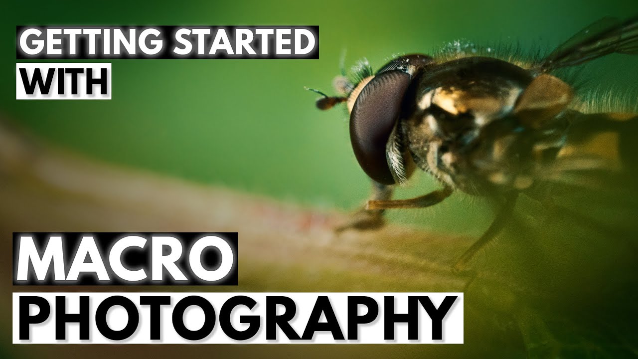 Getting Started with Macro Photography | Tutorial Tuesday - YouTube