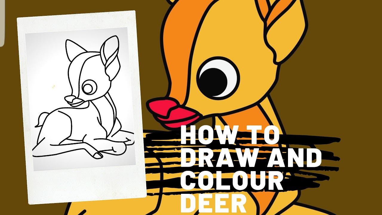 How to draw and colour deer - YouTube