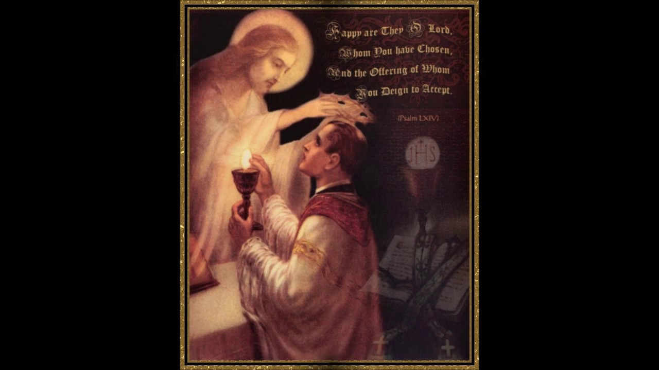 Fr. Mike Scanlan Tribute - YouTube