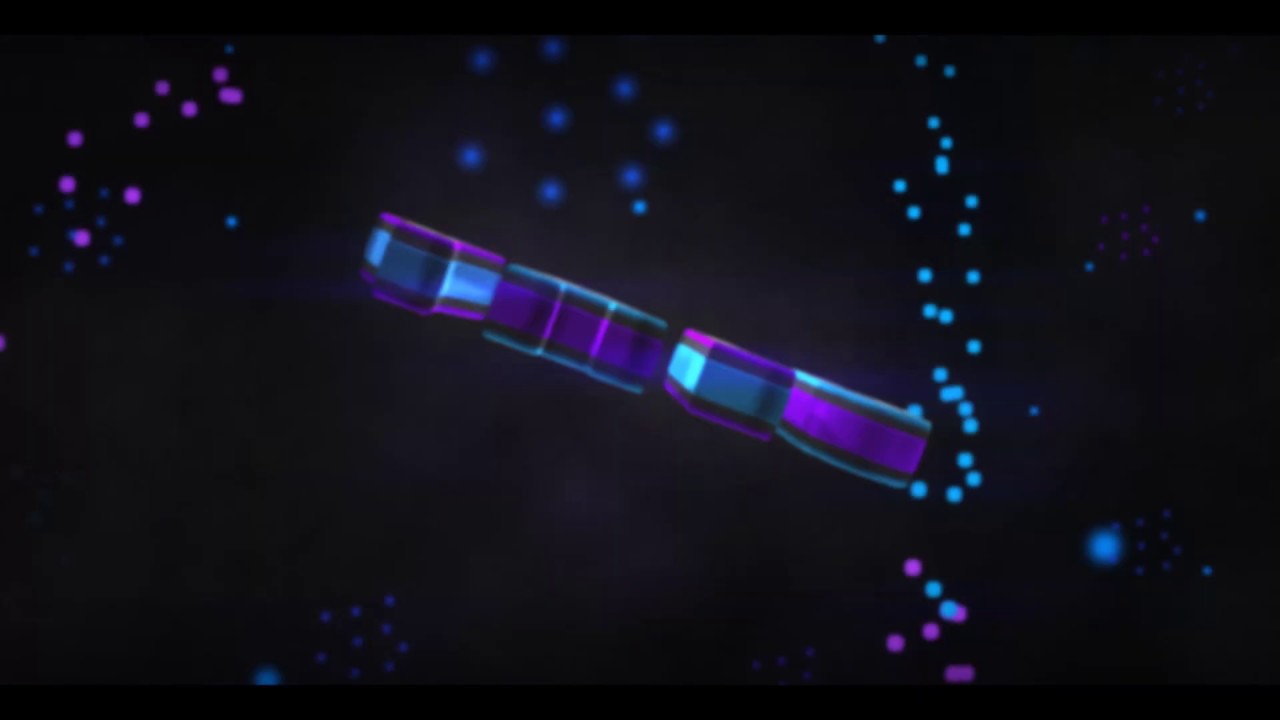 YALU_OK INTRO - YouTube