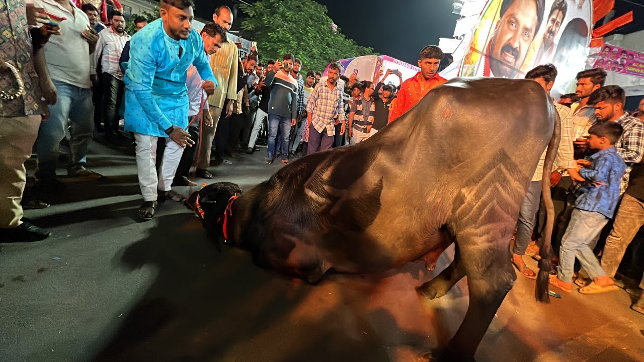 Narayanguda Sadar 2022 | Sadar Sayyata at Narayanguda YMCA | Yadav ...