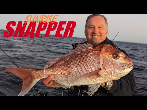 Sunrise SNAPPER Port Phillip Bay | Morning Magic - YouTube