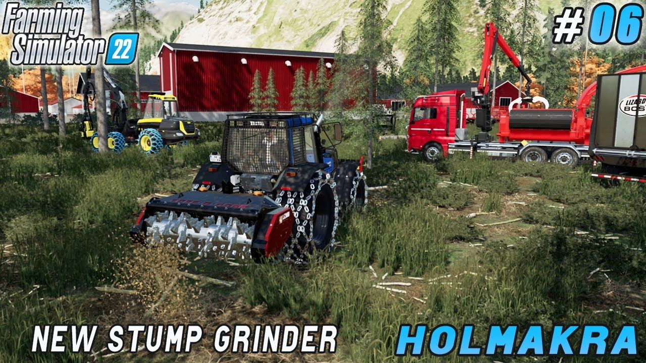 Selling paper pallets, start wood barrel production | Forestry in ...