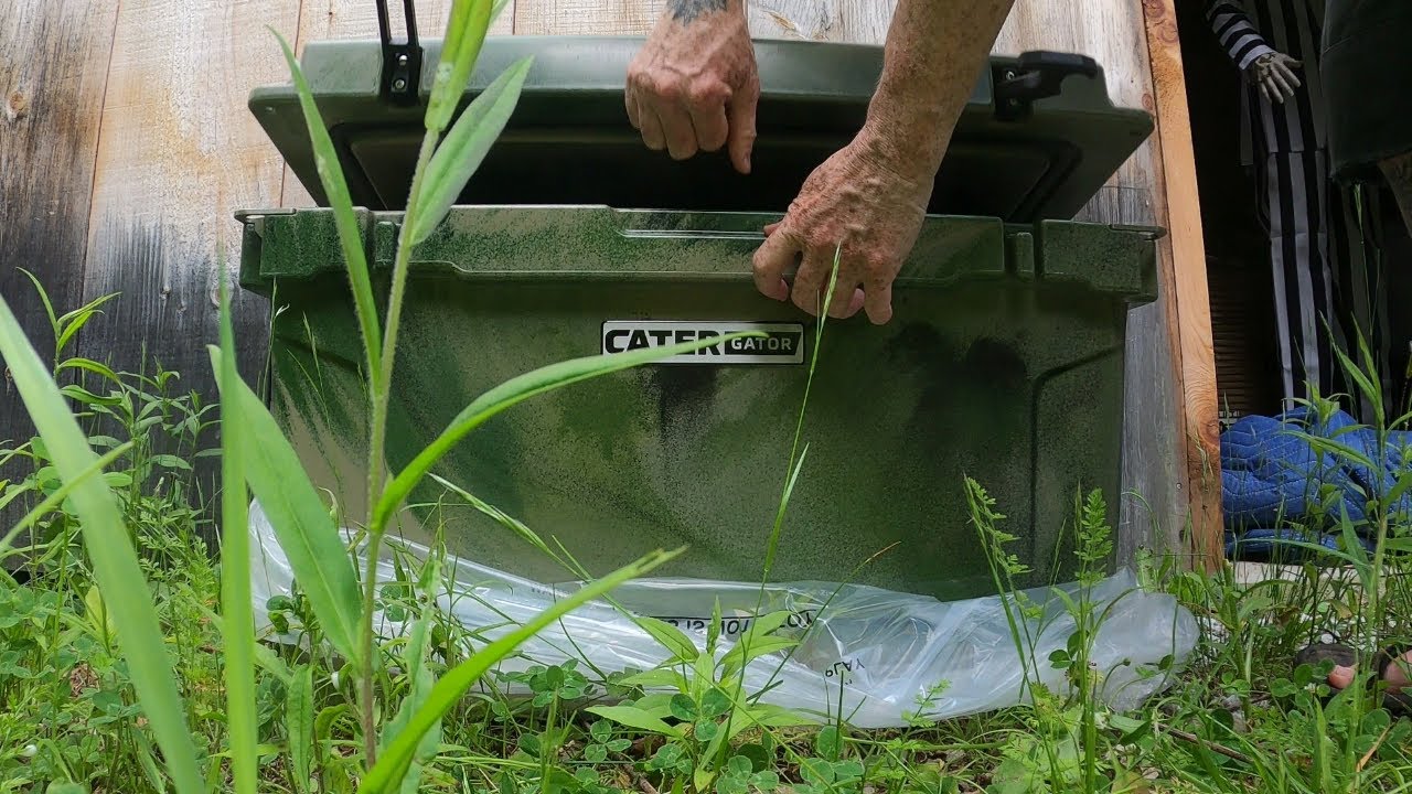 Leafcutter Bees Hatch, and Cater Gator Overview - YouTube