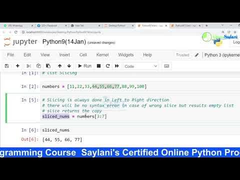 pyhton 9 480p - YouTube