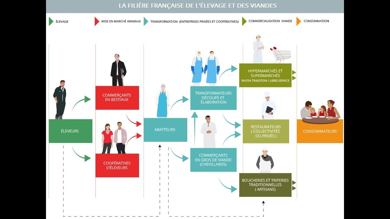Schéma filière - YouTube