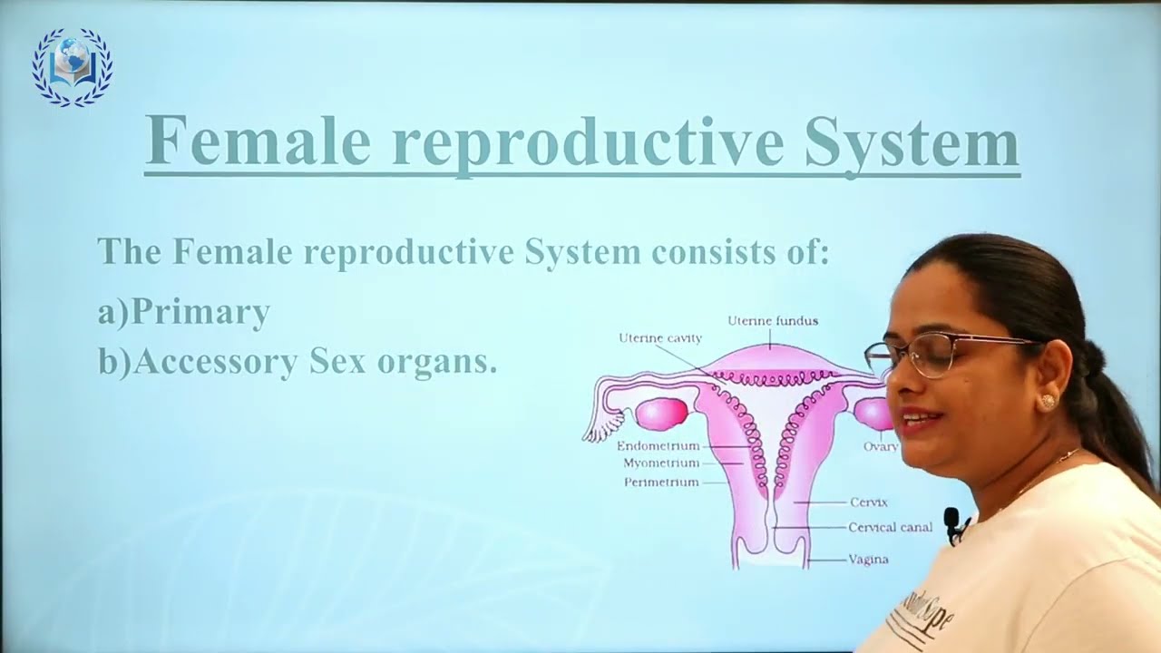 Human Reproduction (Part-4) - Female Reproductive system | Class-12 ...