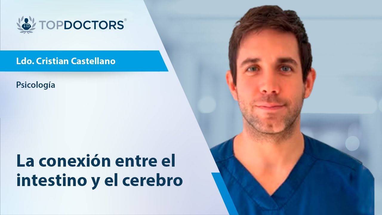La conexión entre el intestino y el cerebro - Ldo. Cristian Castellano ...