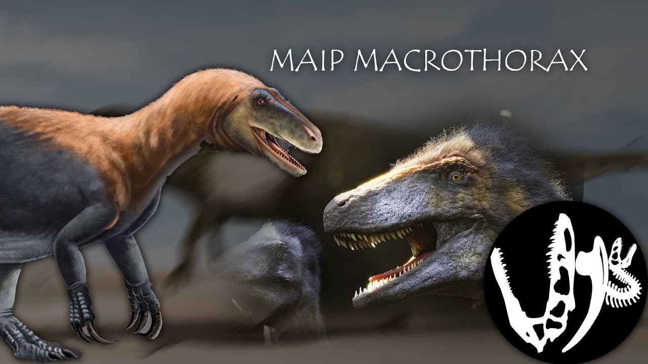 Maip Macrothorax Dosyası, Verdemner's Paleo Profile - YouTube