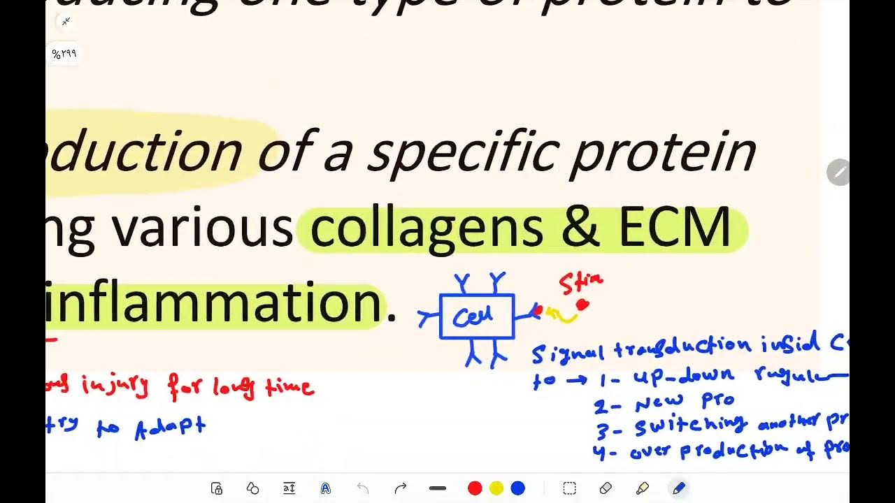 pathology lec 2 part 1 cell injury - YouTube