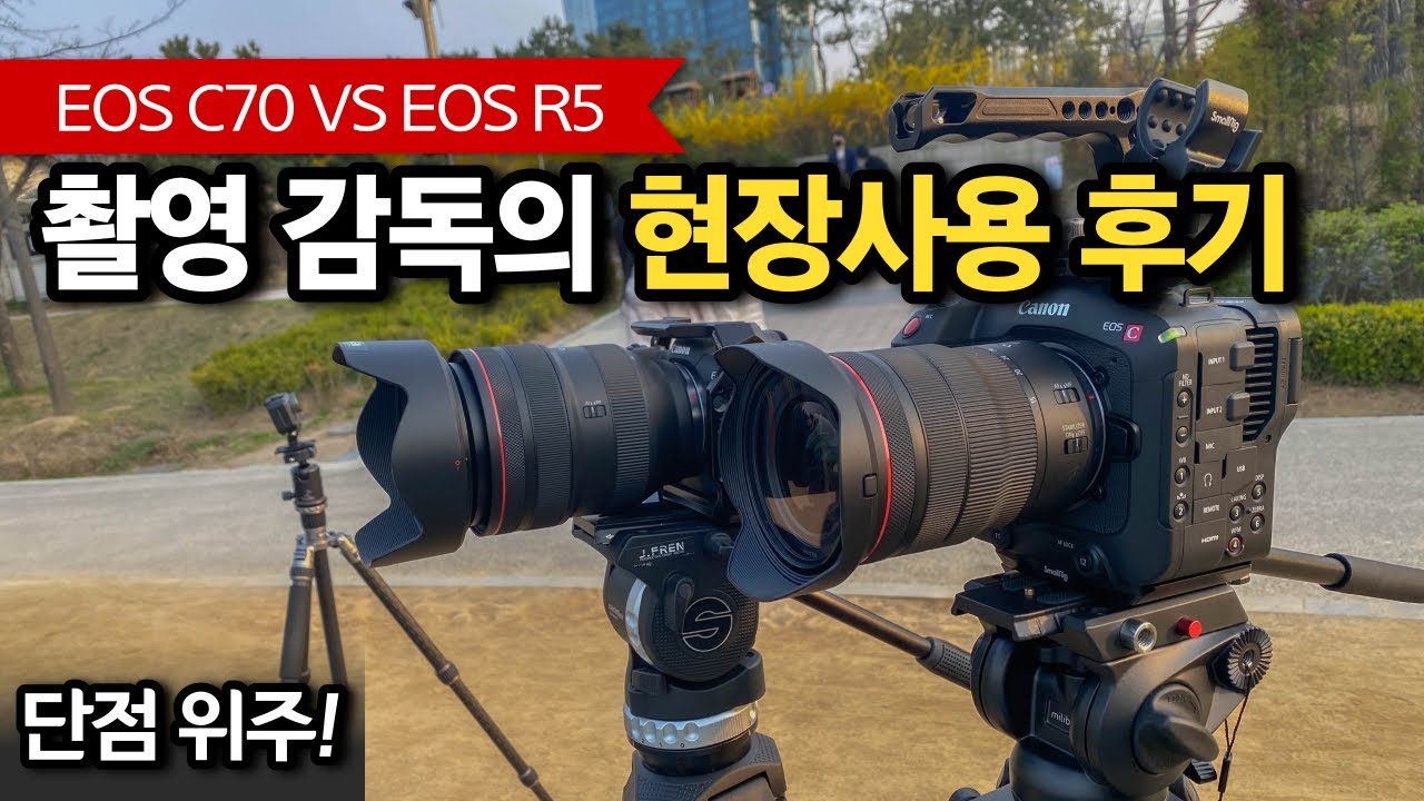 EOS R5 vs EOS C70 실제 영상 비교! - YouTube