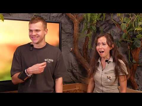 Jynxzi Donates $100k to Maya's Animal Sanctuary!