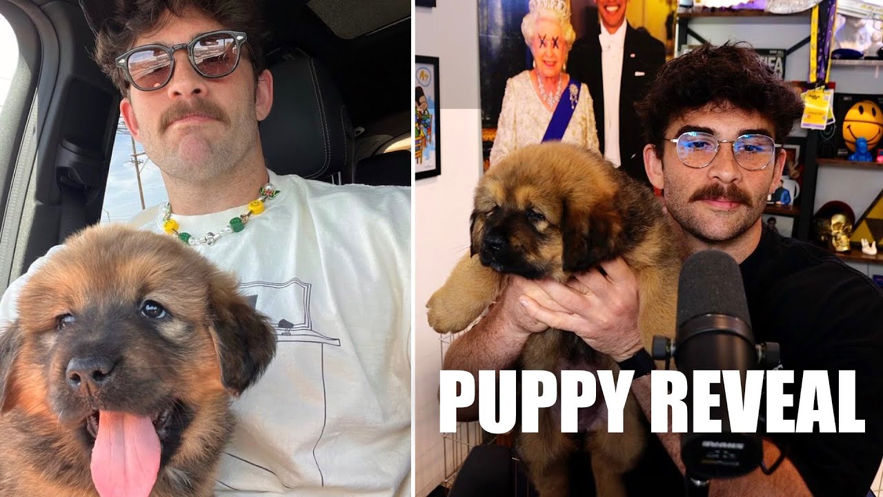 Hasan's New Puppy Reveal | HasanAbi Reacts - YouTube