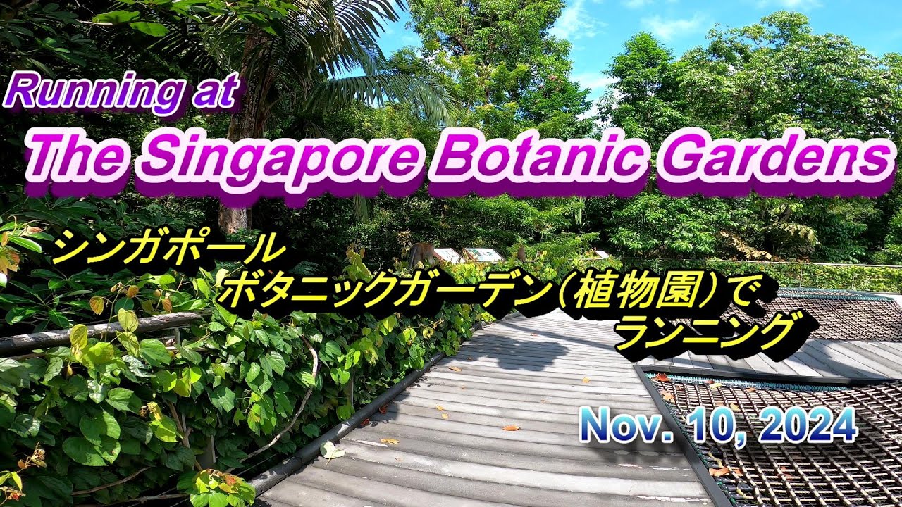 Running at the Singapore Botanic Gardens シンガポールのボタニックガーデンでランニング - YouTube