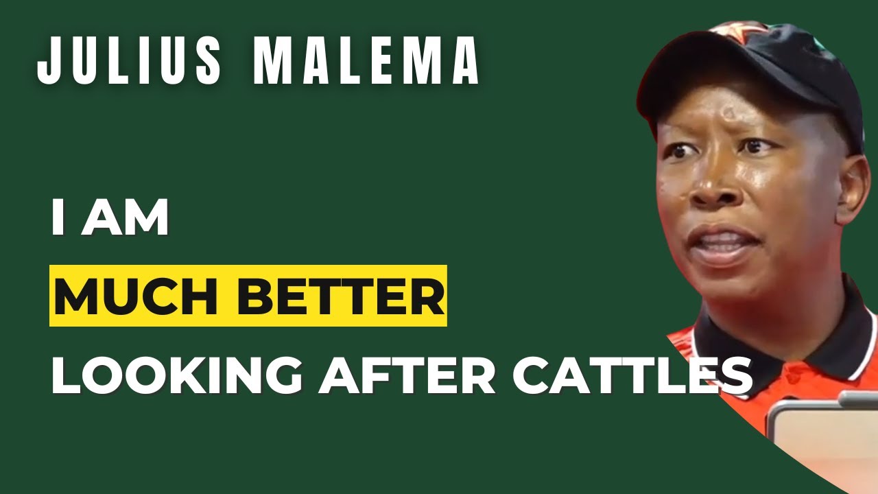 Malema Memes JULIUS MALEMA BOLDLY VOWS TO CLOSE DOWN THE US EMBASSY IN