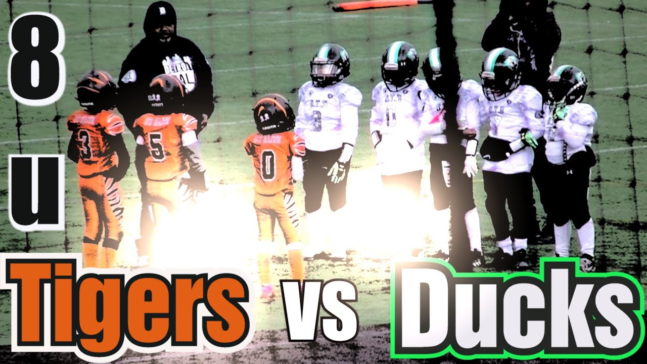 2022 8u Old-Town Ducks vs CT Tigers Michigan AYF Championship Game ...