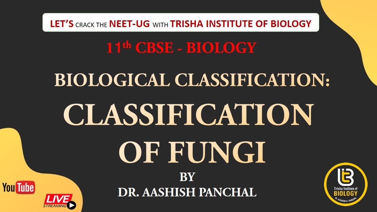BIOLOGICAL CLASSIFICATION : CLASSIFICATION OF FUNGI - YouTube