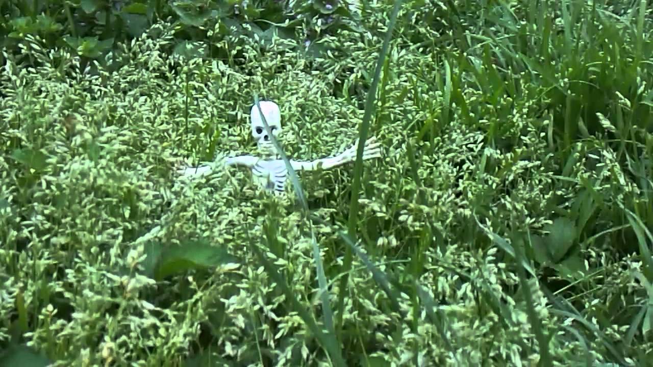 Skeleton In The Grass - YouTube