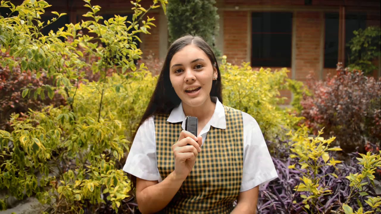 CEFA alimentos 2019 - YouTube