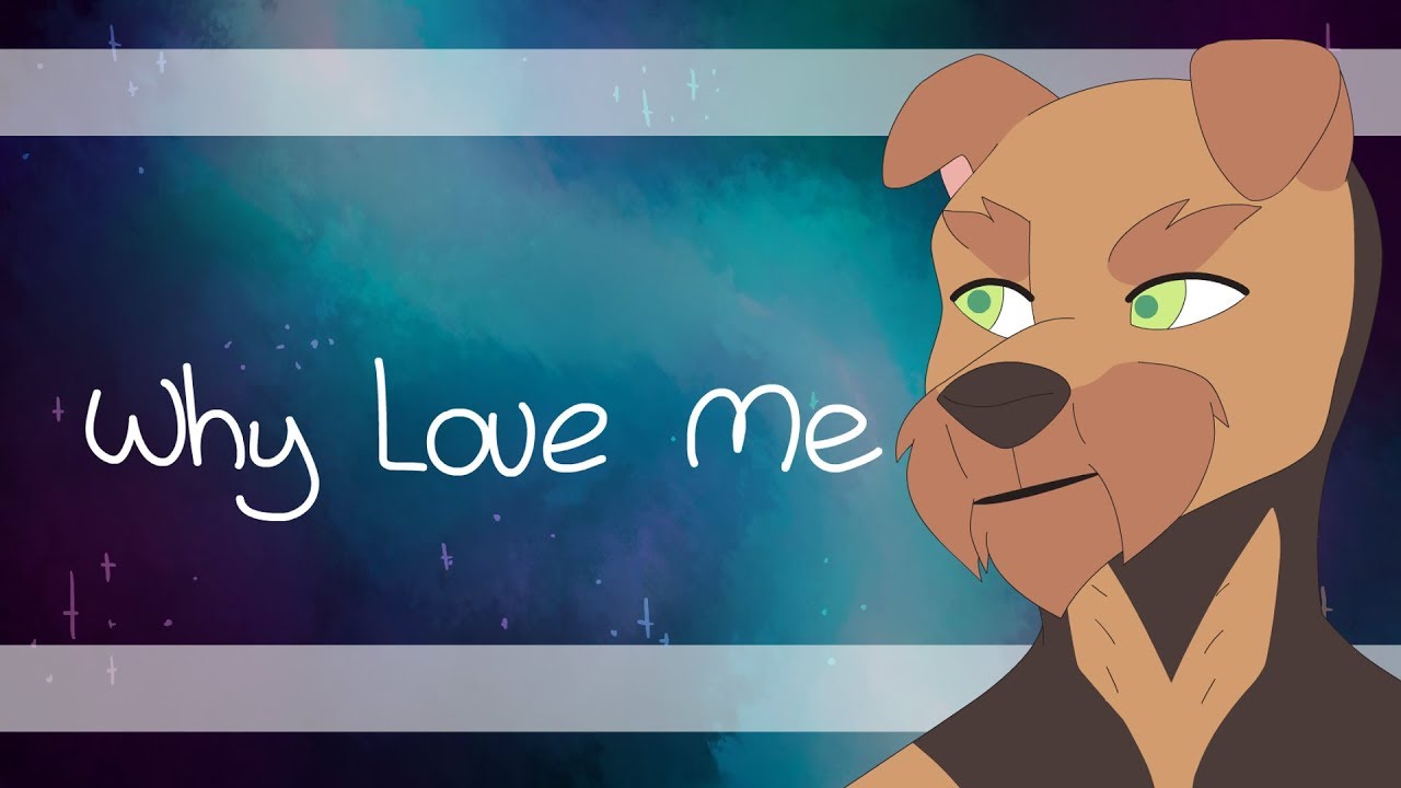 Why love me - Animation meme - YouTube