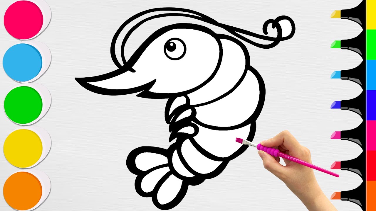 Drawing and Coloring a Cute Shrimp | Easy Step by Step - YouTube
