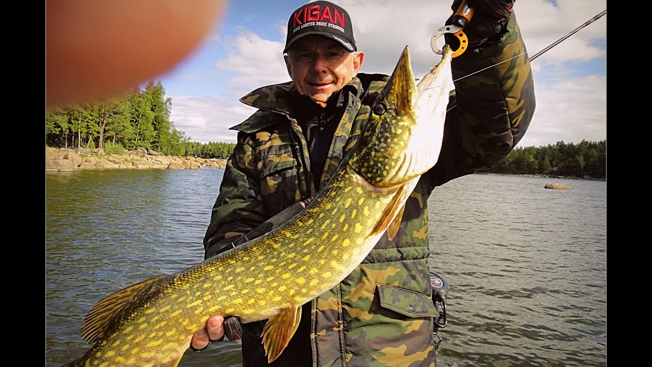 Hunting for pike - YouTube