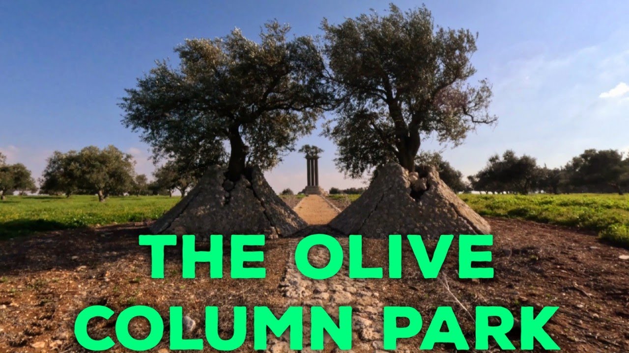 DERECH HEVRON ROAD. RAMAT RACHEL Olive Column Park Holyland Jerusalem ...
