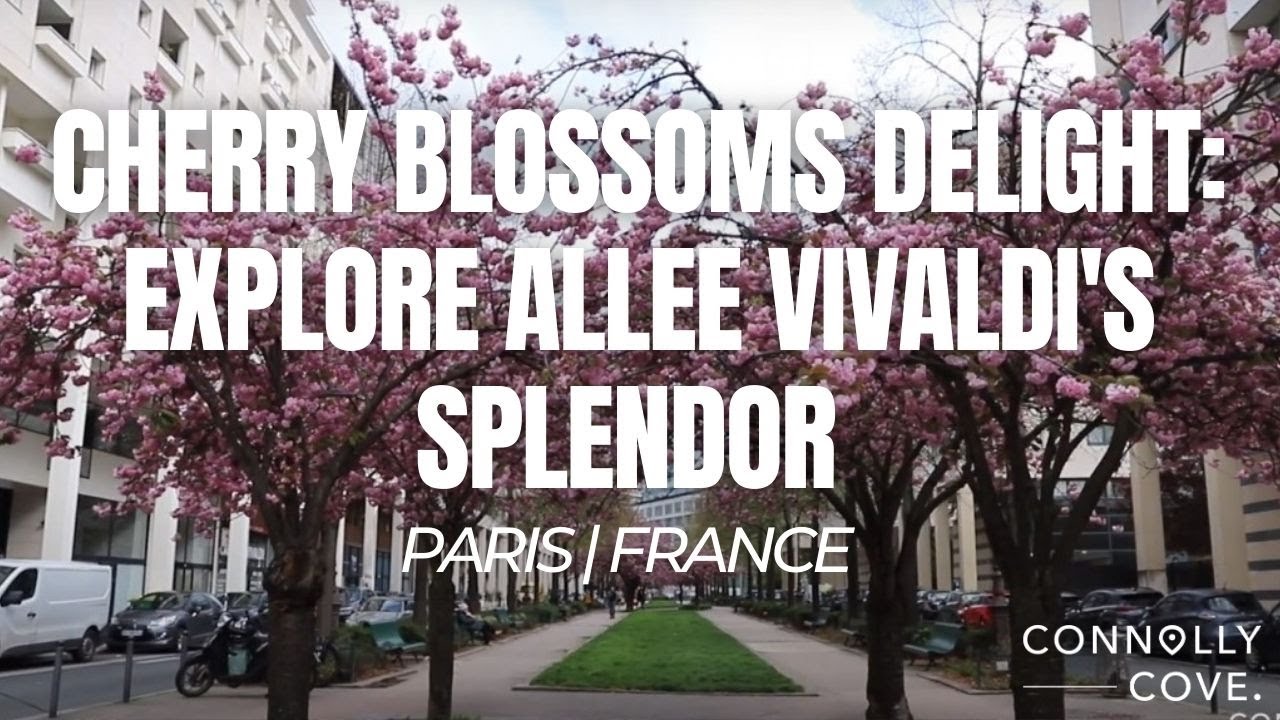 Cherry Blossoms Delight: Explore Allee Vivaldi's Splendor | Paris ...