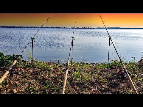 Tis the Season for BIG LAKE Carp Fishing! (2 Days of Fishing)
