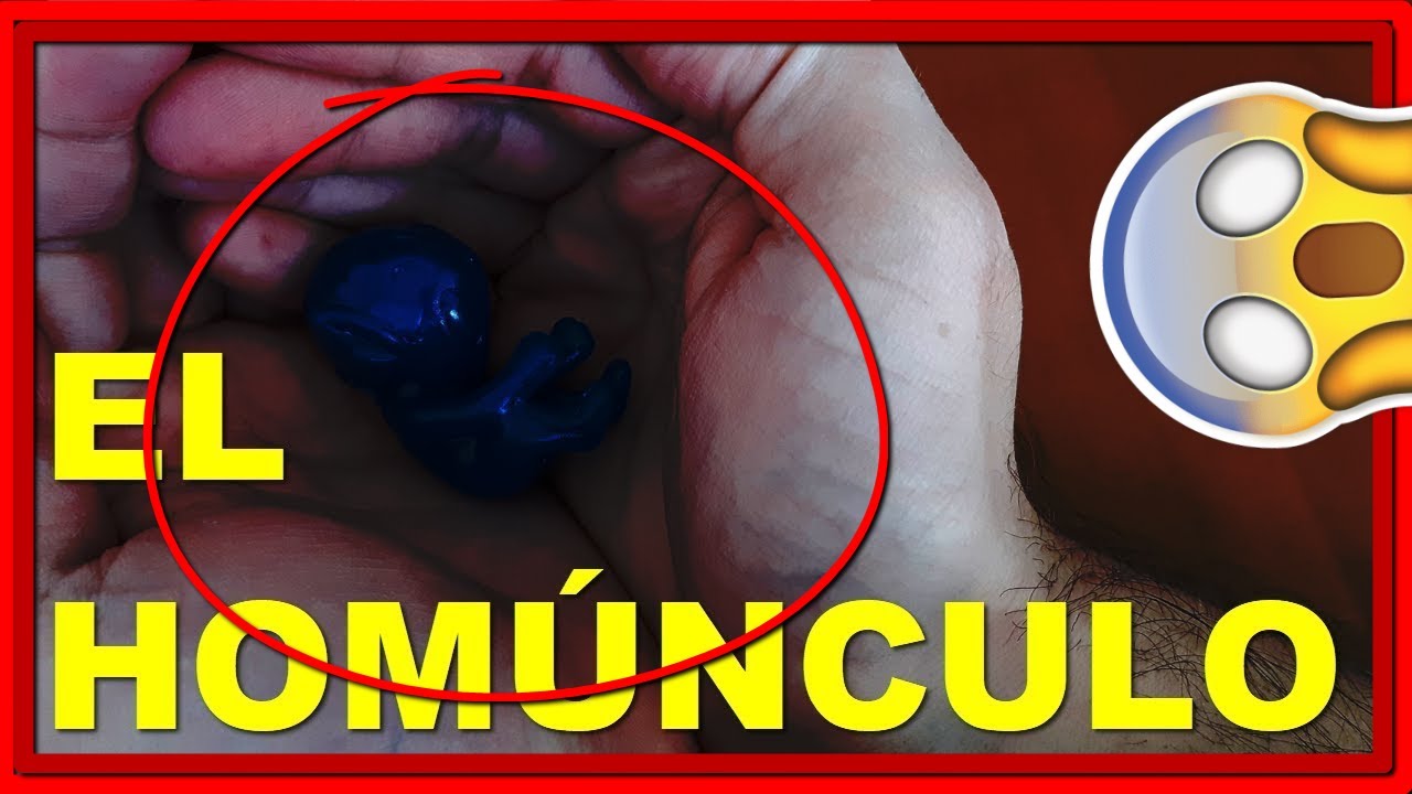 Cómo crear un homúnculo ¡ VIVO Y REAL ! - YouTube