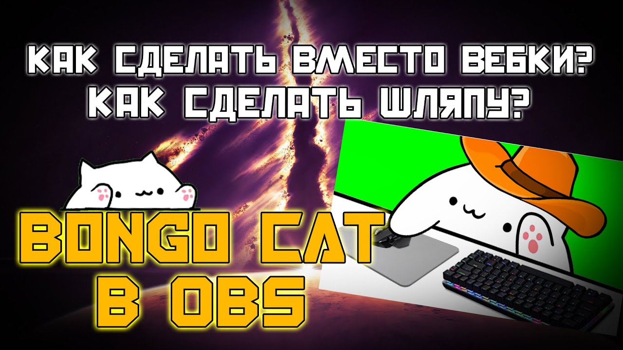 Bongo cat obs download - masophollywood