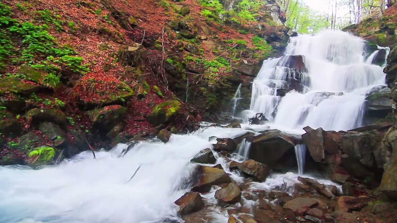 Deep Sleep Instantly with peaceful forest stream flowing sounds. nature ...