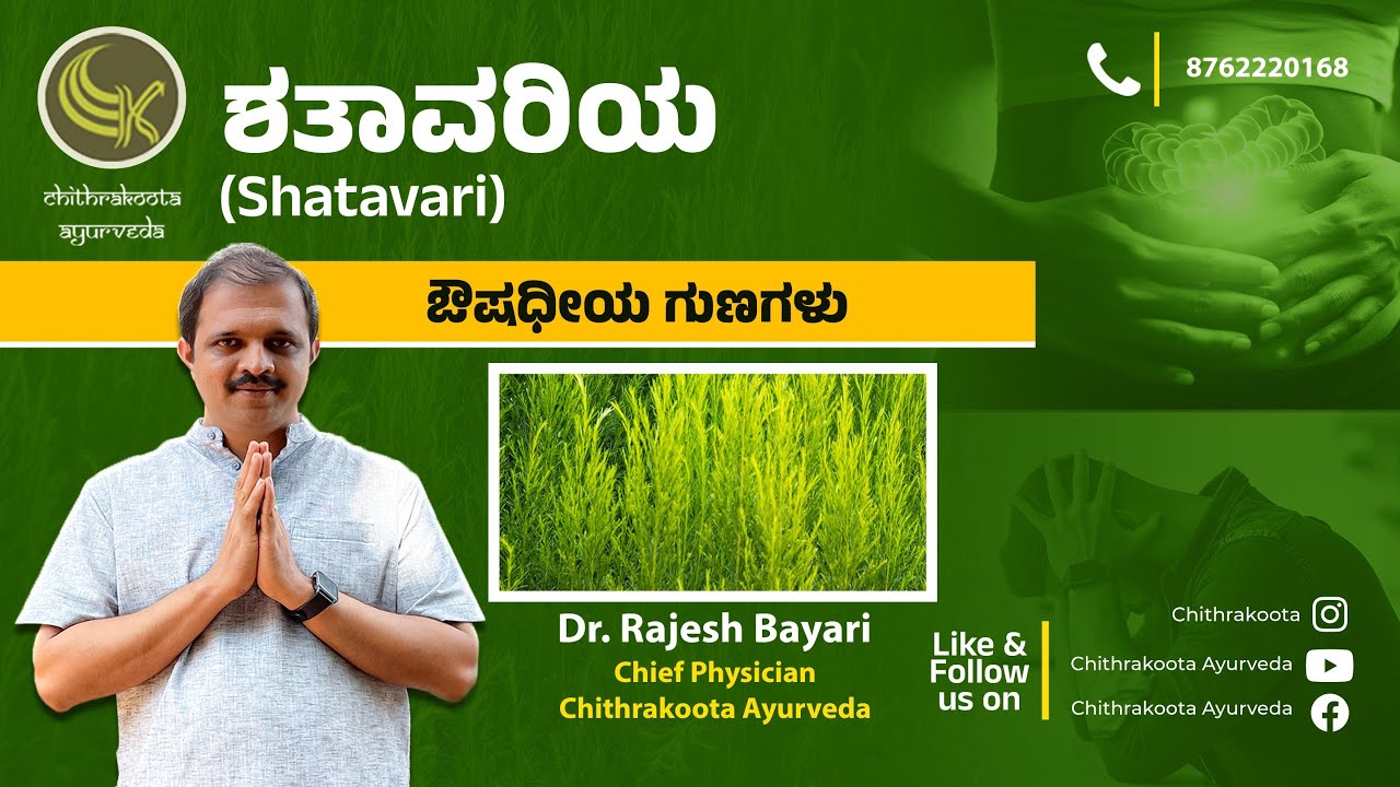 ಶತಾವರಿಯ ಔಷಧೀಯ ಗುಣಗಳು I Chithrakoota Ayurveda I Dr. Rajesh bayari - YouTube